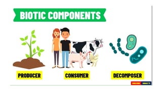 Components of an Ecosystems Grade 7 Learners.pptx