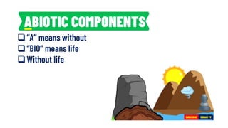 Components of an Ecosystems Grade 7 Learners.pptx