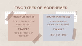 COMPONENTS-OF-GRAMMAR.pptx