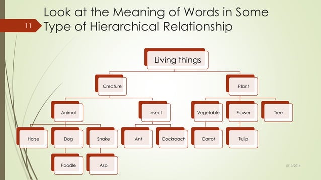 Components and contrasts of meaning | PPTX