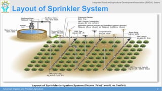 Basic Irrigation System Layout