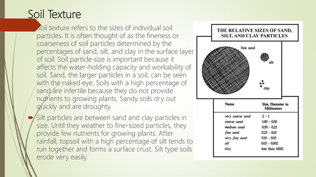 Components and properties of soil | PPTX | Gardening | Home & Garden