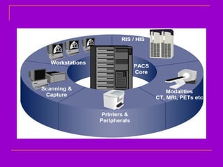 Components And Workflow Of A Digital Radiology Department | PPT