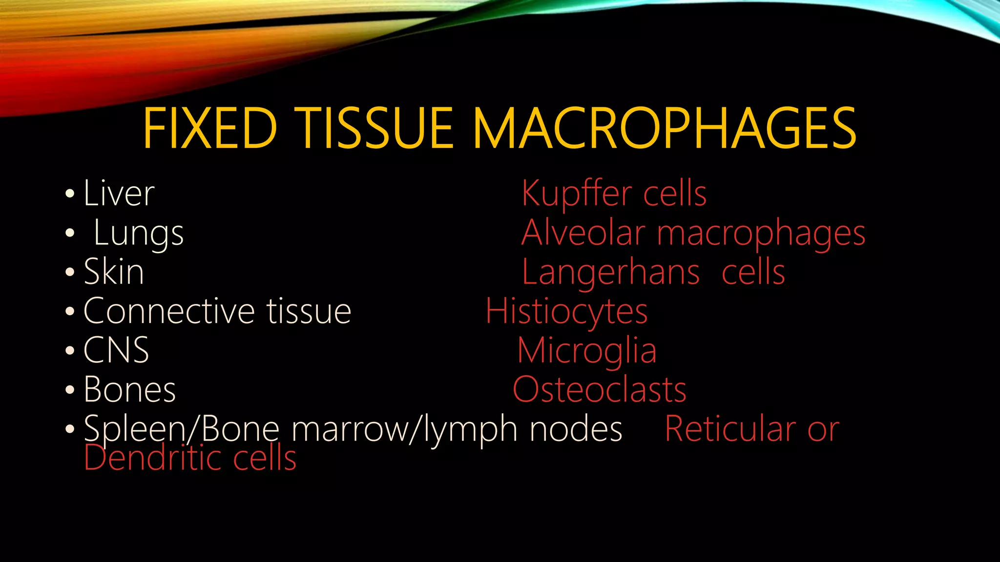 Components, development and functions of res(reticulo-endo-thelial ...
