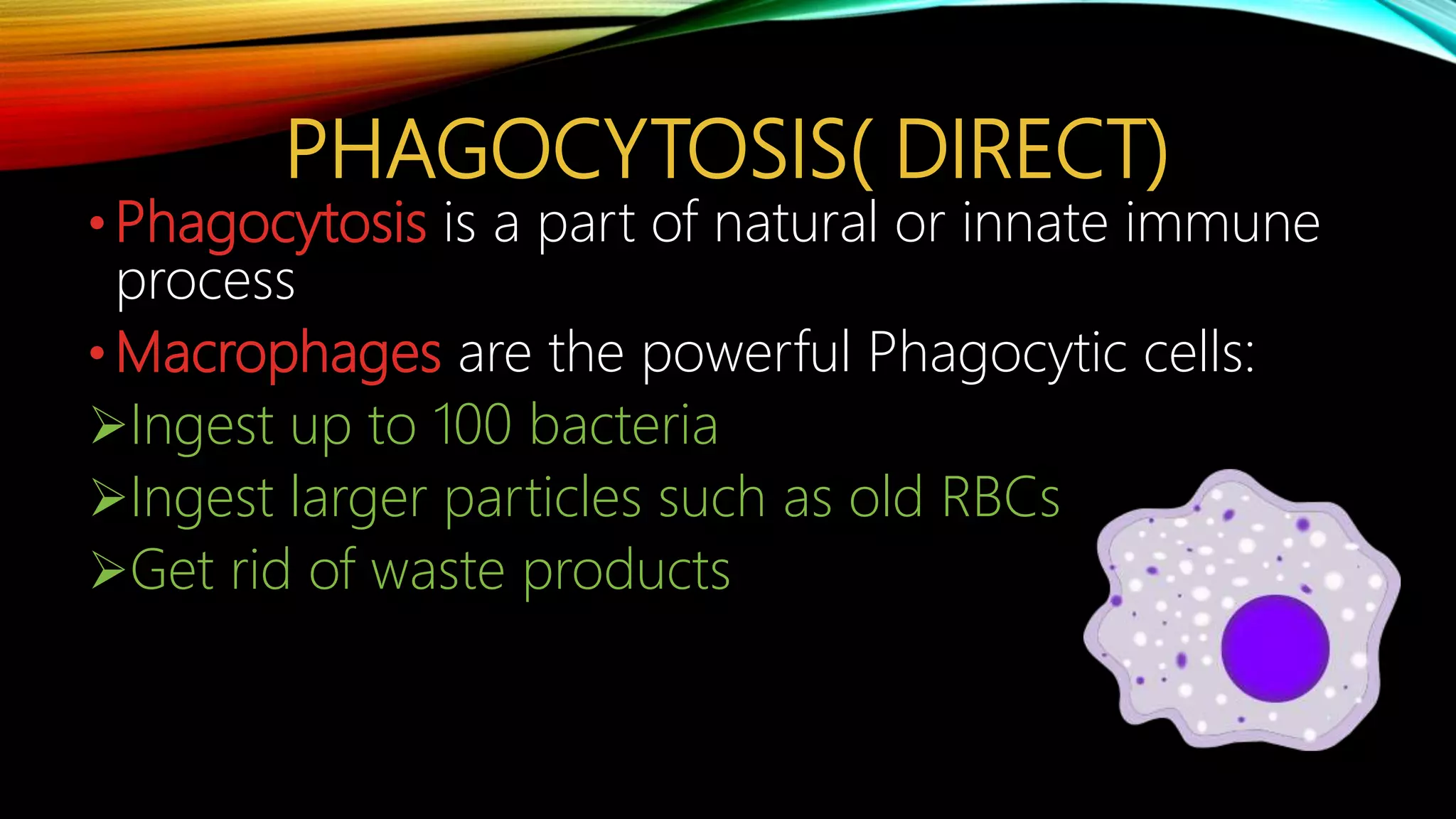 Components, development and functions of res(reticulo-endo-thelial ...
