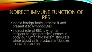 Components, development and functions of res(reticulo-endo-thelial ...