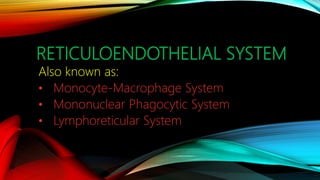 Components, development and functions of res(reticulo-endo-thelial ...