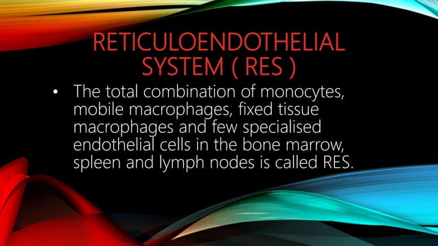 Components, development and functions of res(reticulo-endo-thelial ...