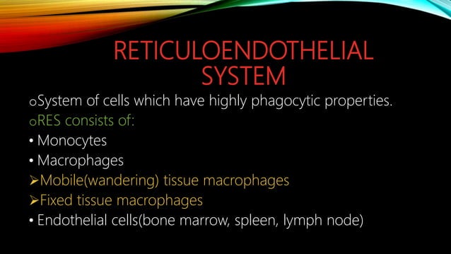 Components, development and functions of res(reticulo-endo-thelial ...
