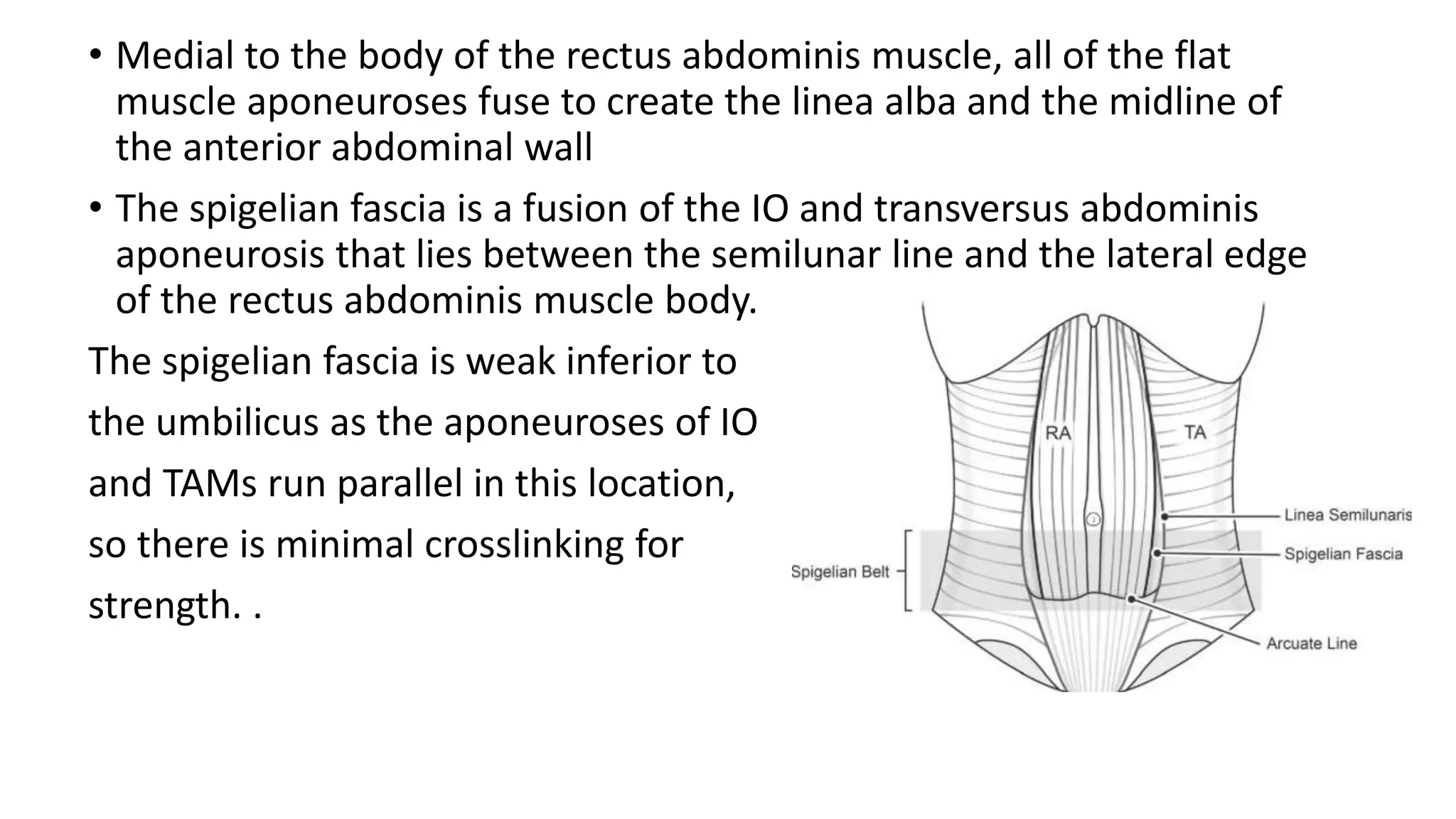 Component sepration techniques.pptx