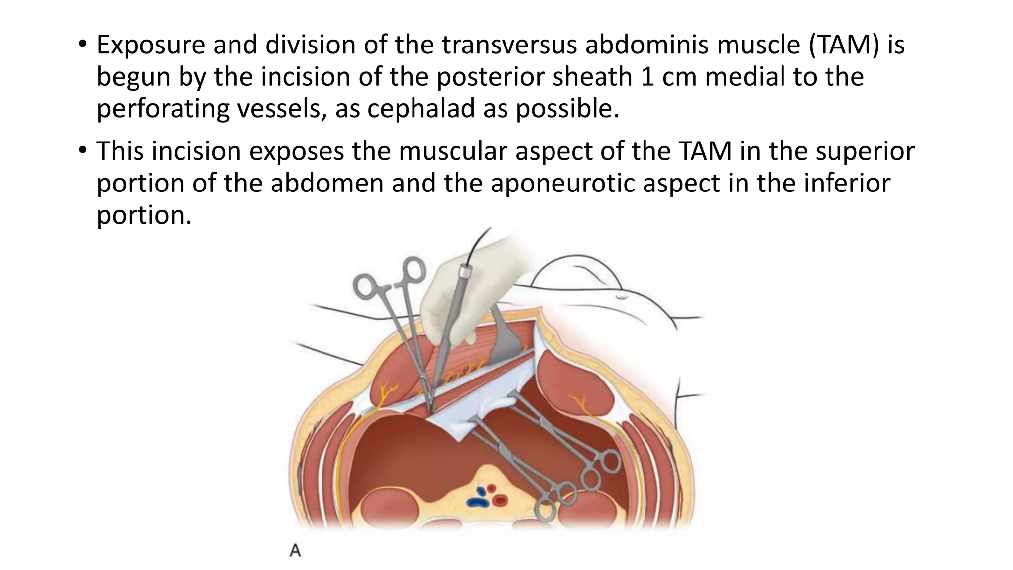 Component sepration techniques.pptx