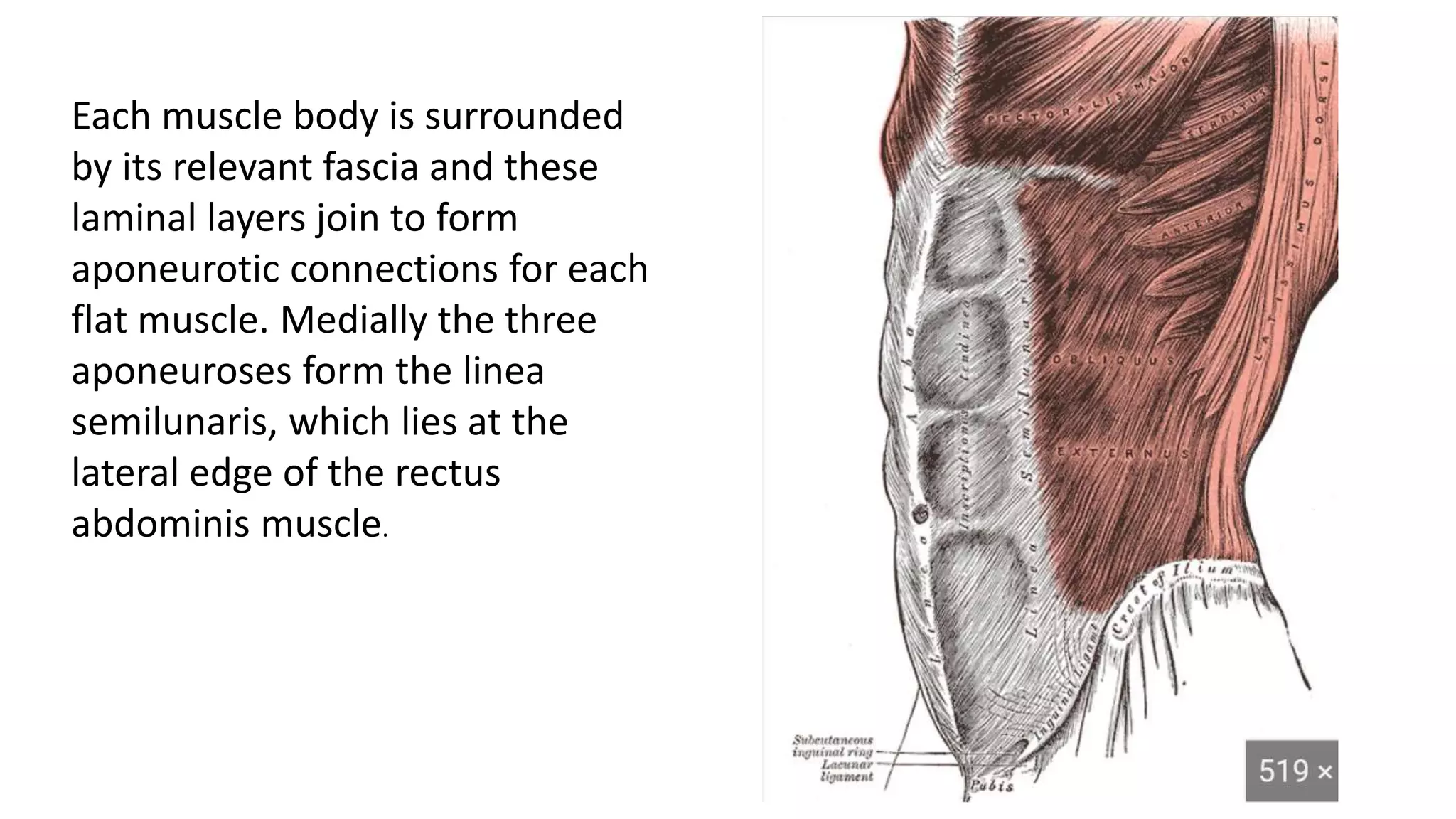 Component sepration techniques.pptx
