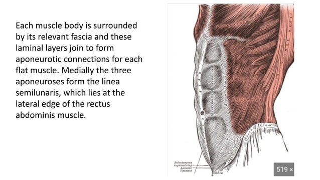 Component sepration techniques.pptx