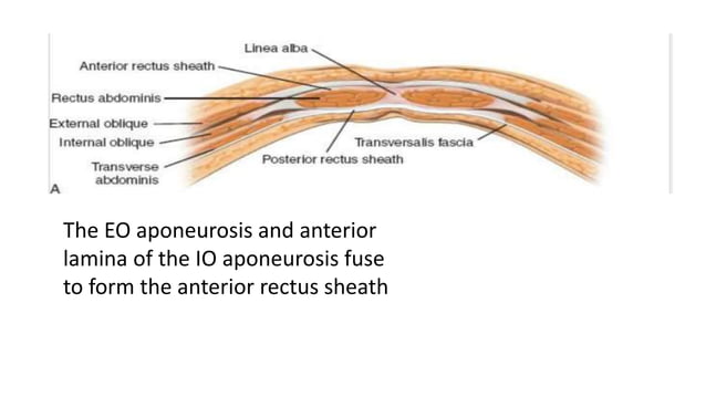Component sepration techniques.pptx