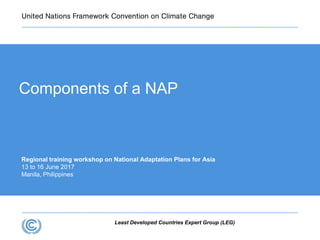 Components of a NAP | PDF