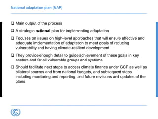 Components of a NAP | PDF