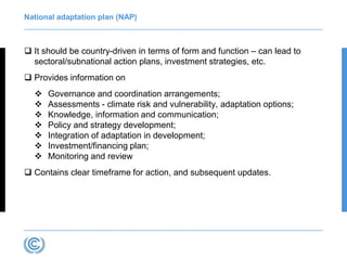 Components of a NAP | PDF
