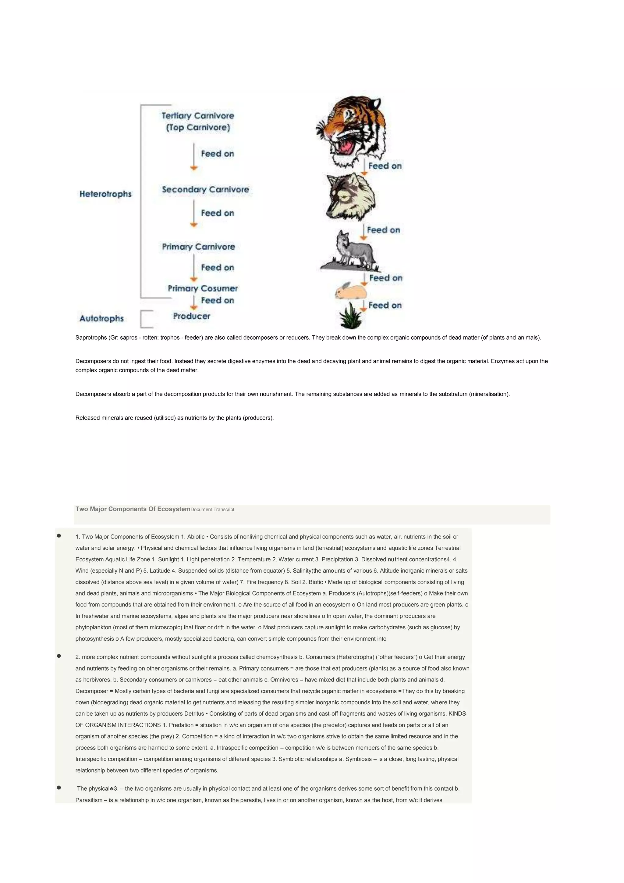 Components of an ecosystem | DOCX