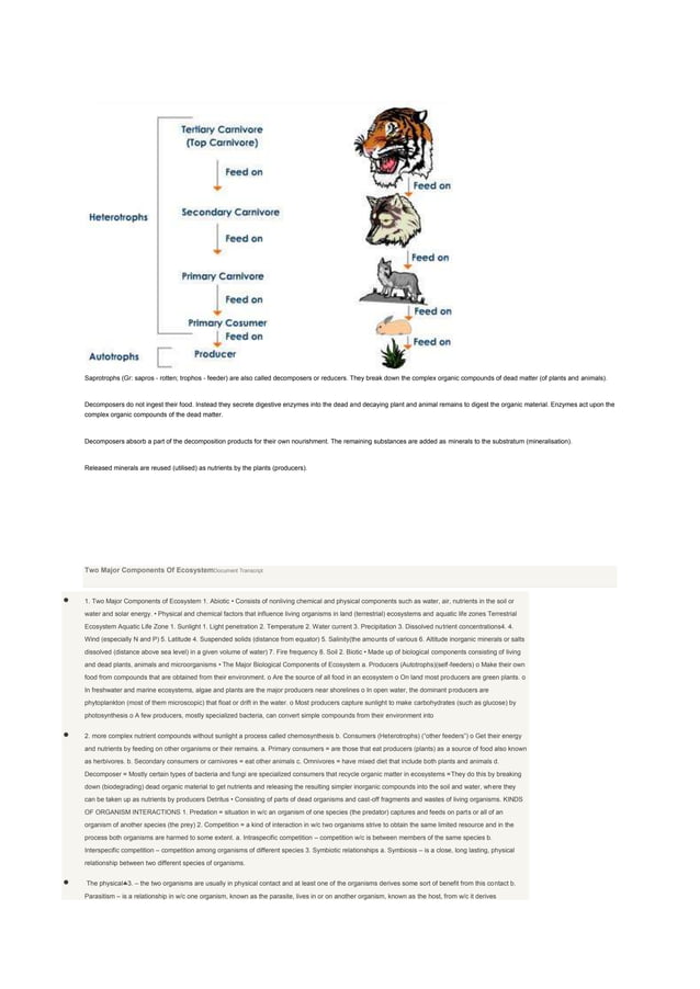 Components of an ecosystem | DOCX