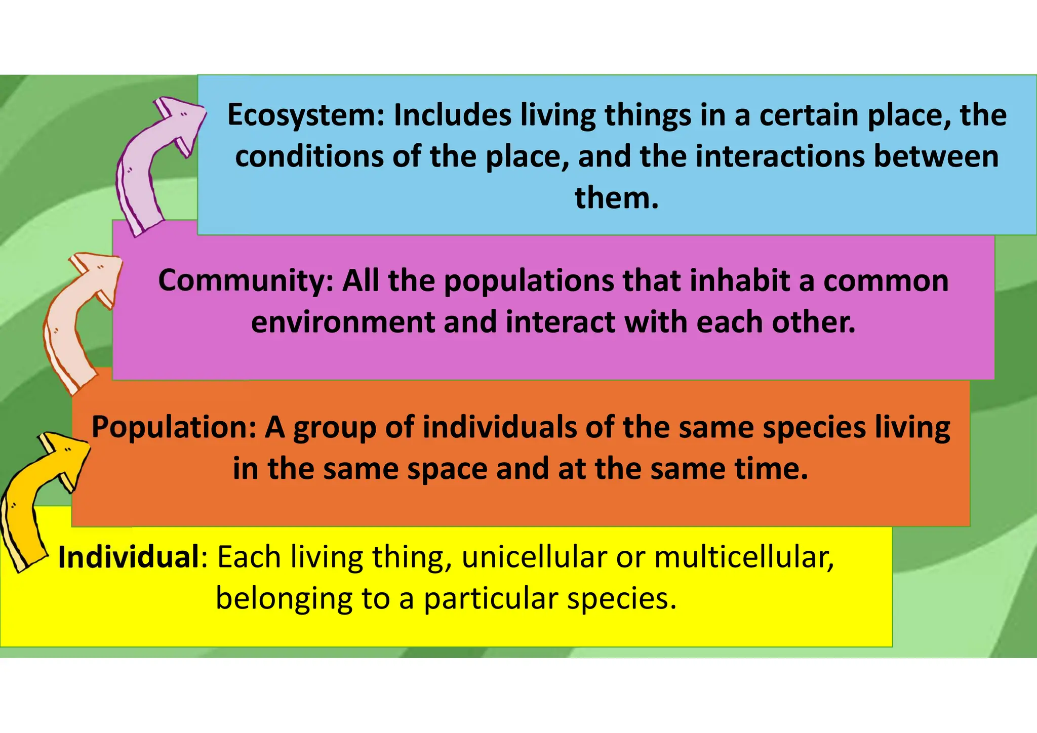 COMPONENTS OF AN ECOSYSTEM pathway to science 6 | PDF