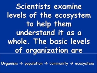Components of an Ecosystem Notes.ppt