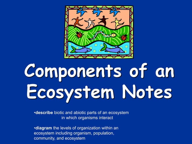 Components of an Ecosystem Notes. And propertiesppt | PPT