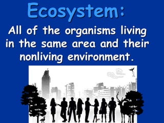 Components of an Ecosystem Notes. And propertiesppt | PPT