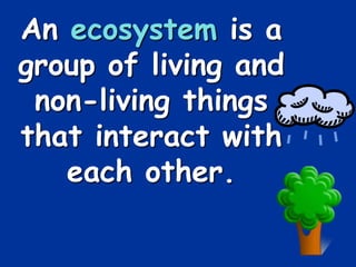Components of an Ecosystem Notes. And propertiesppt | PPT