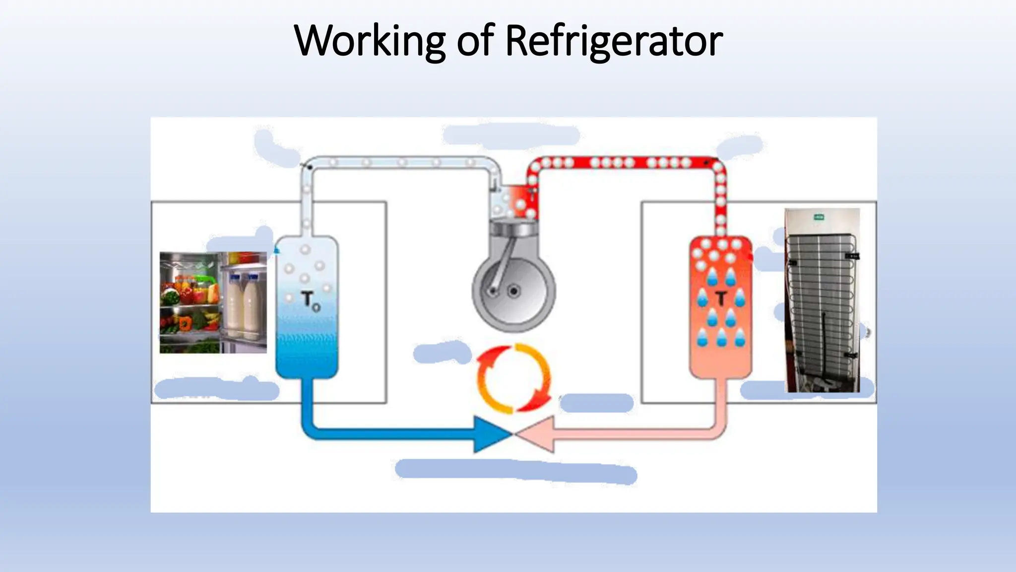 COMPONENTS OF A REFRIGERATOR (1).pptx