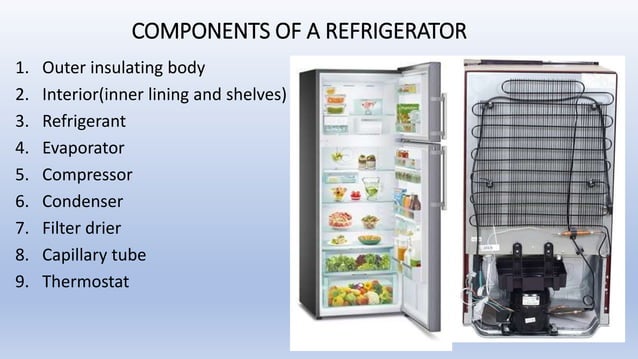 COMPONENTS OF A REFRIGERATOR (1).pptx