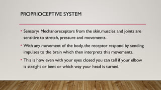 Components of balance (static and dynamic) | PPTX