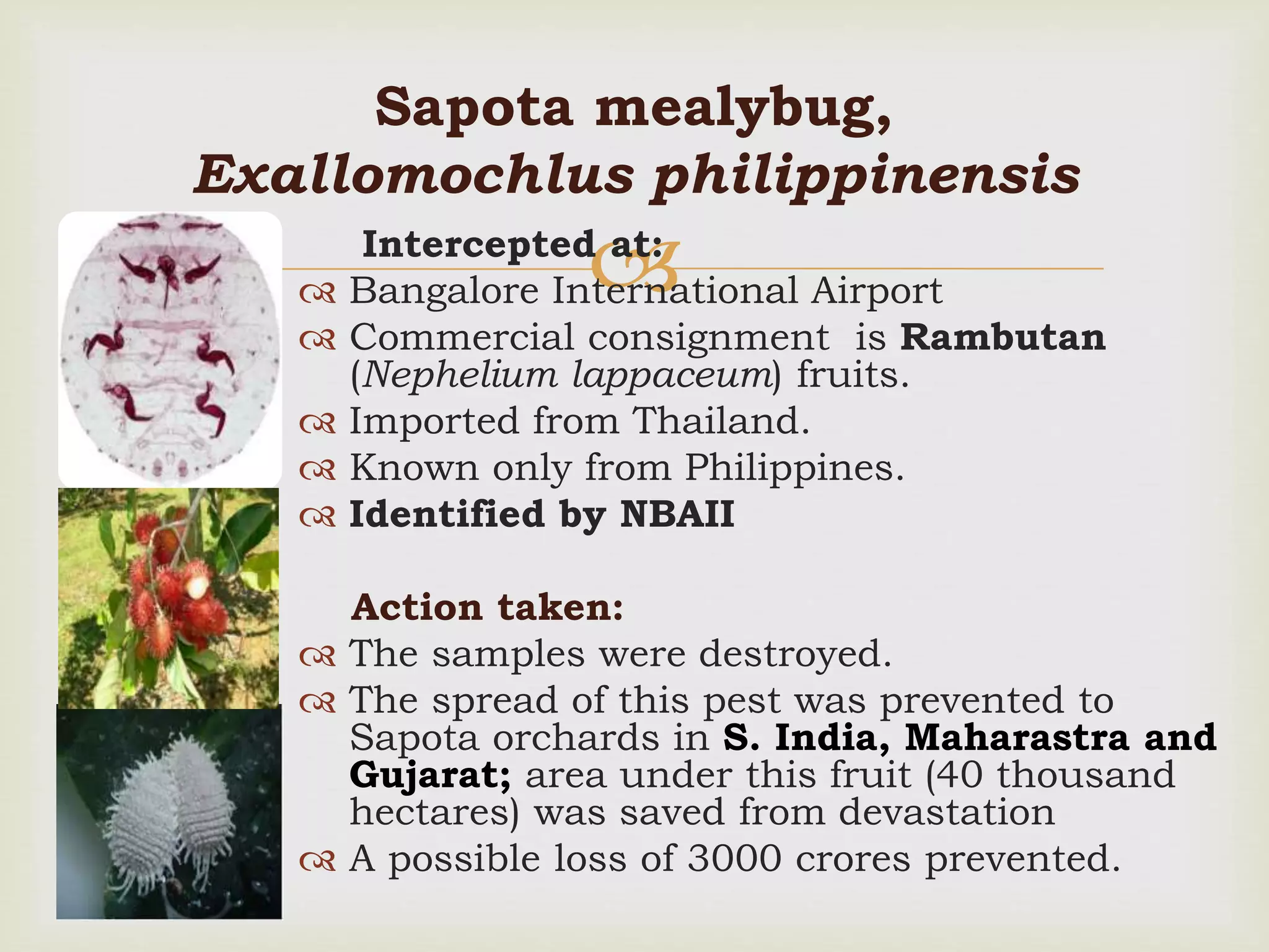 Components of biosecurity and quarentine | PPTX