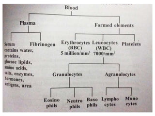 COMPONENTS OF BLOOD.pptx