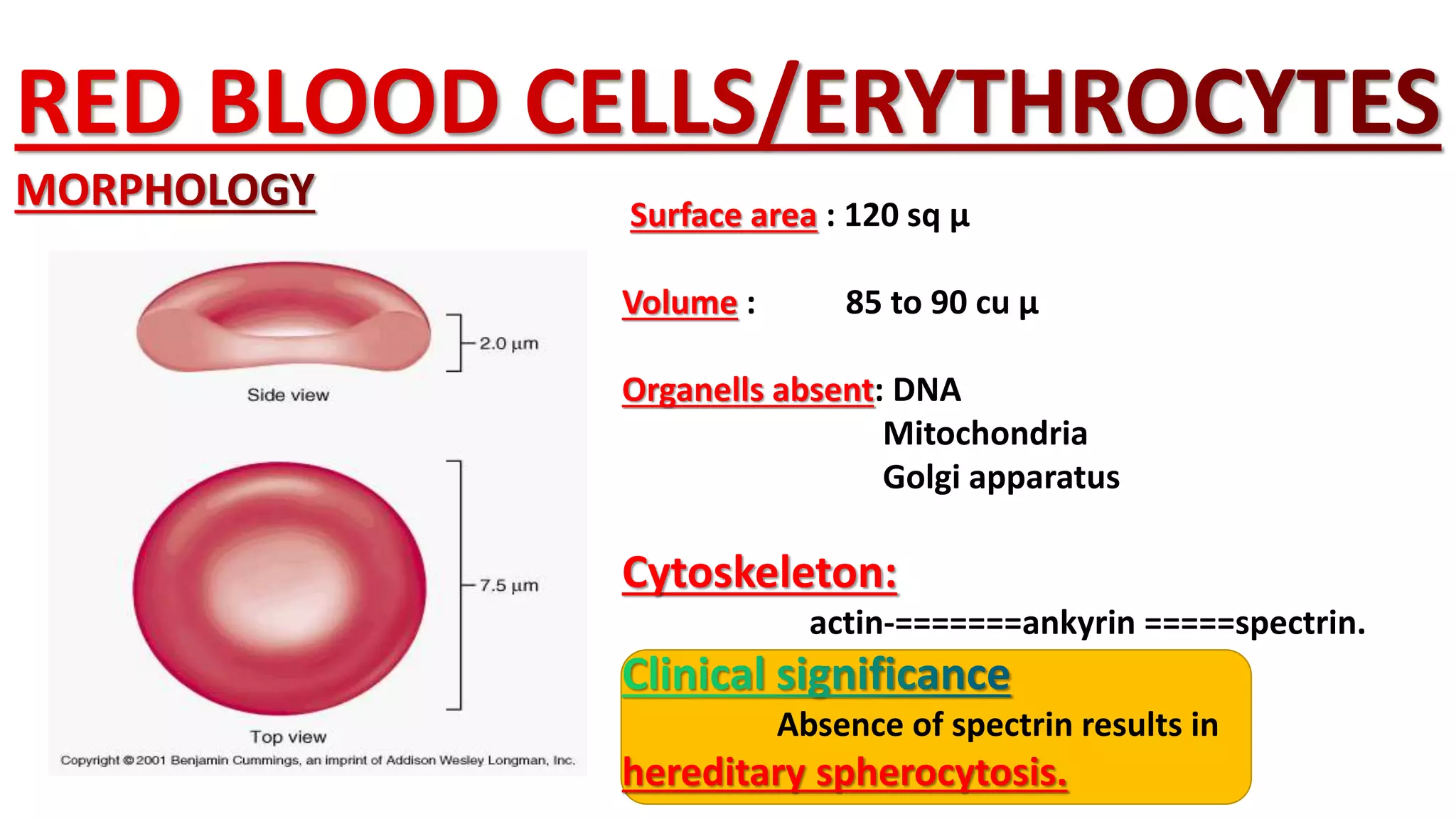 Components of blood and blood clotting mechanism | PPTX
