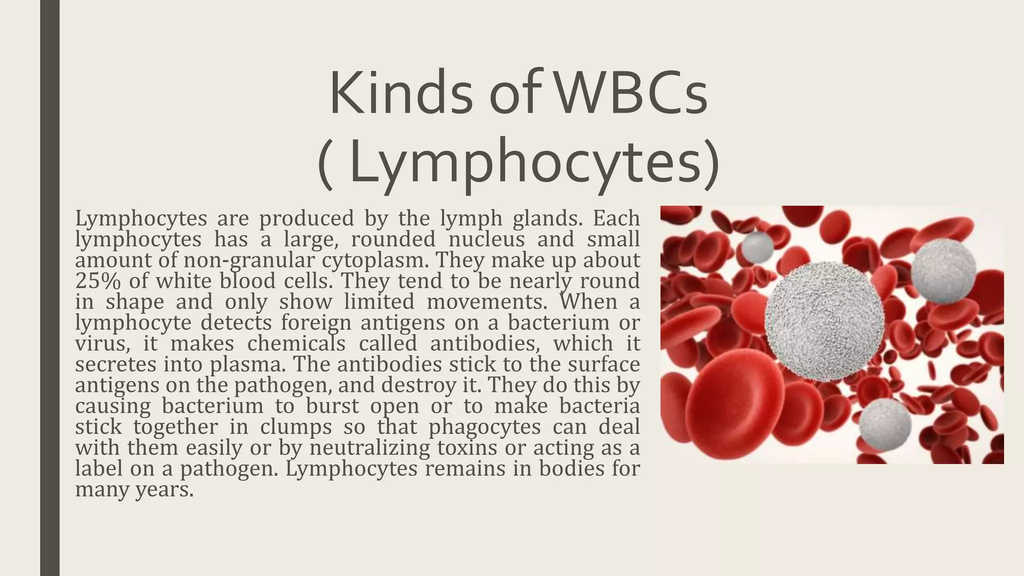 Components of blood and blood pressure | PPTX