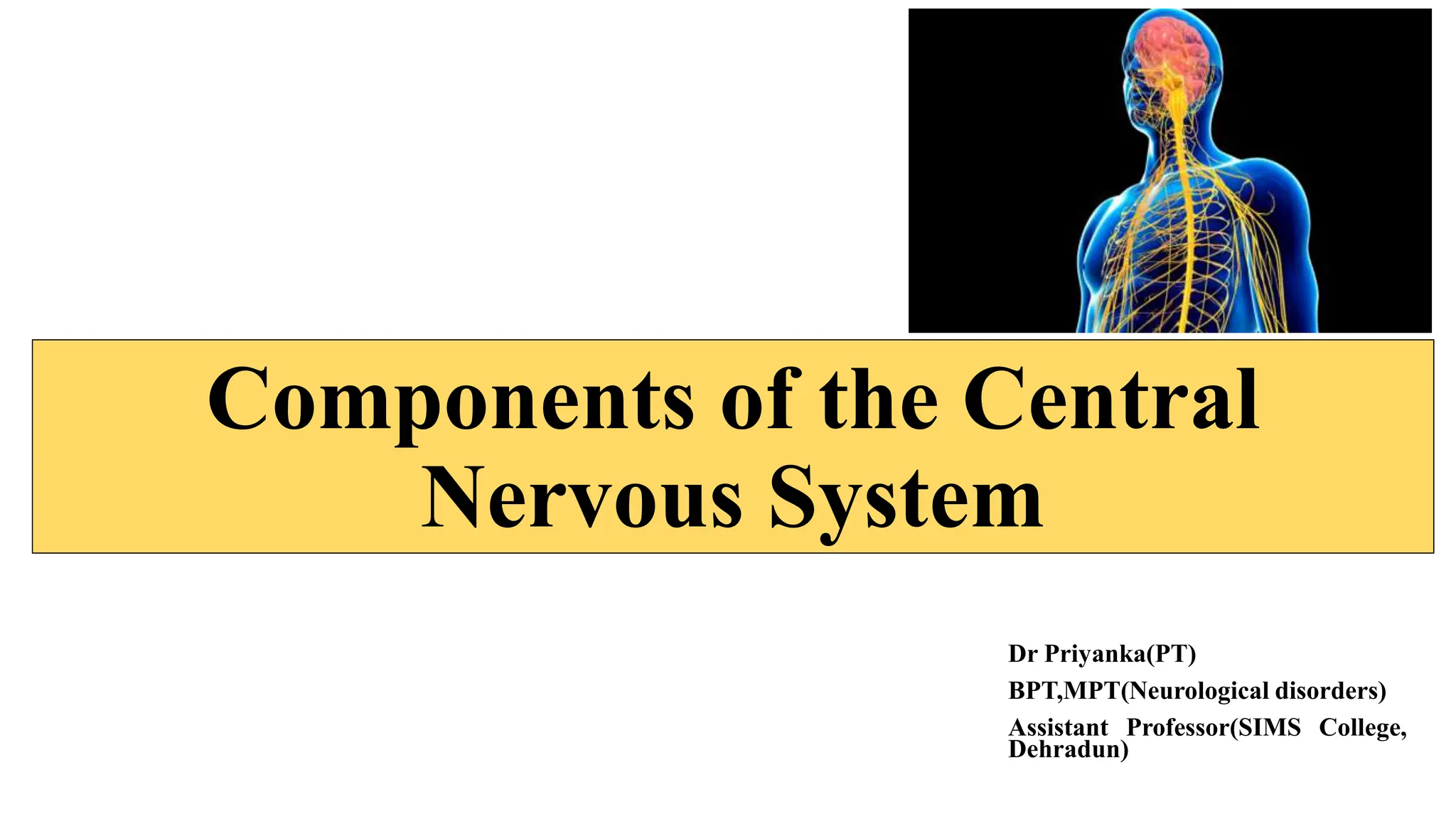 Components of Central Nervous System.pptx
