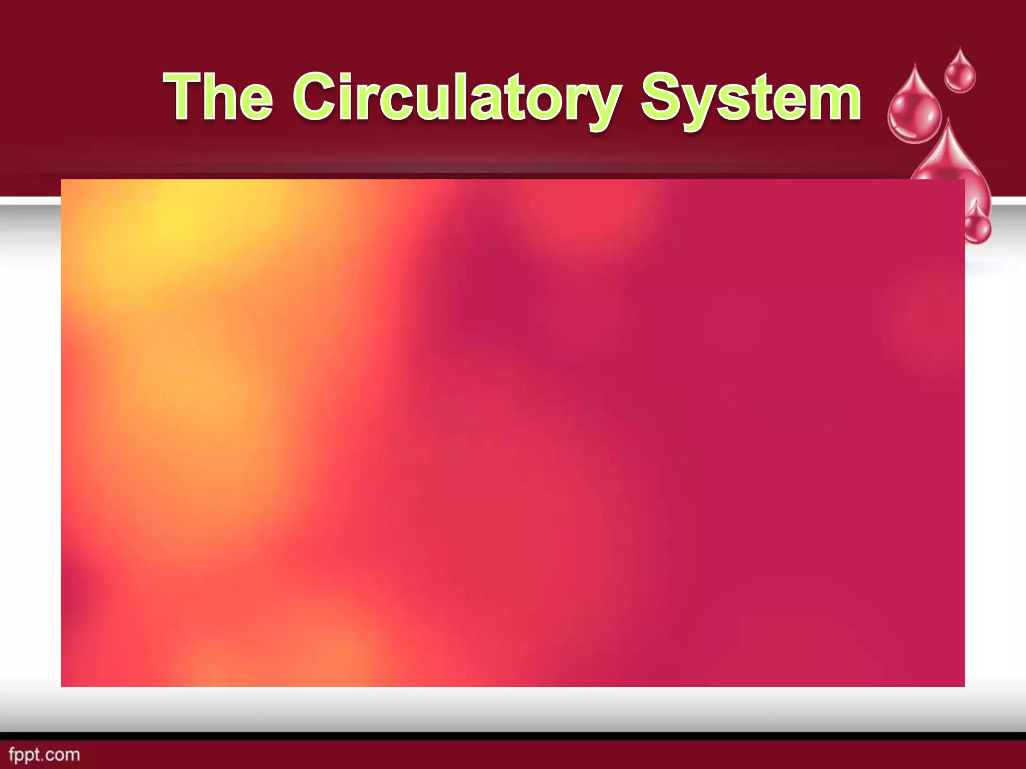 Components of Circulatory System | PPTX