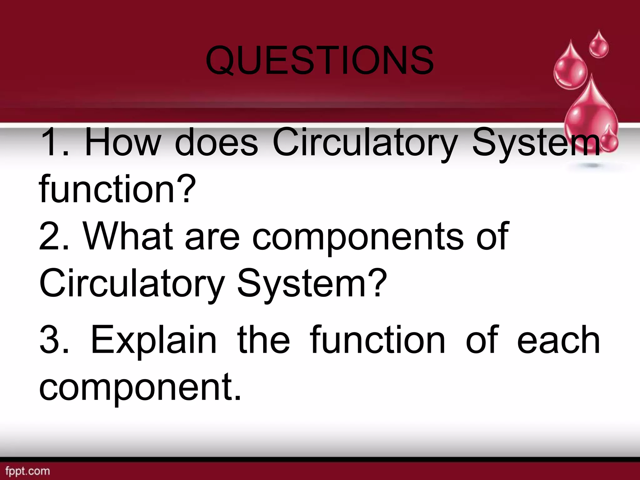 Components of Circulatory System | PPTX