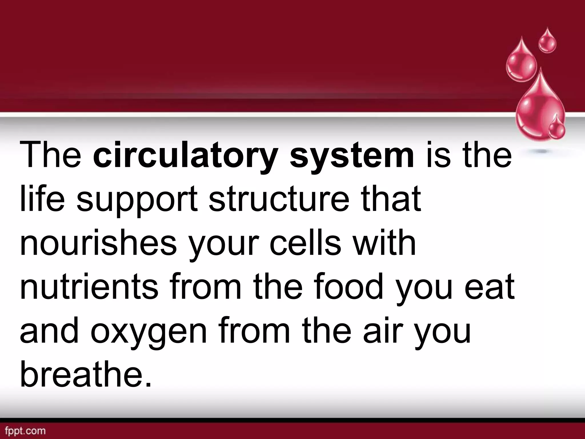 Components of Circulatory System | PPTX