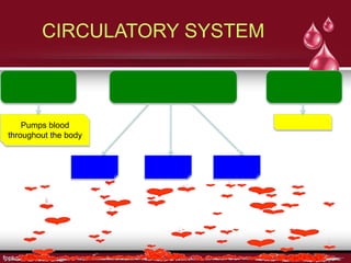Components of Circulatory System | PPTX