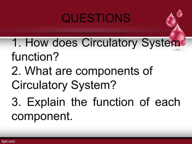 Components of Circulatory System | PPTX | Lung and Respiratory Health ...