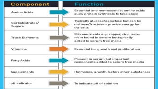 COMPONENTS OF CULTURE MEDIA.pptx