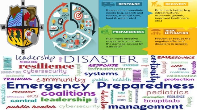 Components of Disaster Management | PPTX