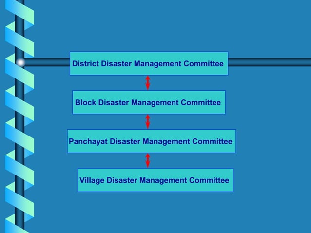 Components of DRM programme.ppt