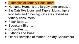 Components of Ecology.pptx to know more about its ecosystem | PPT