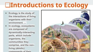 Components of Ecology.pptx to know more about its ecosystem | PPT