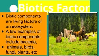 Components of Ecology.pptx to know more about its ecosystem | PPT