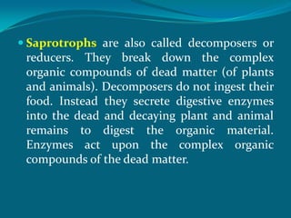 Components of ecosystem | PPTX