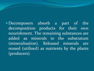 Components of ecosystem | PPTX