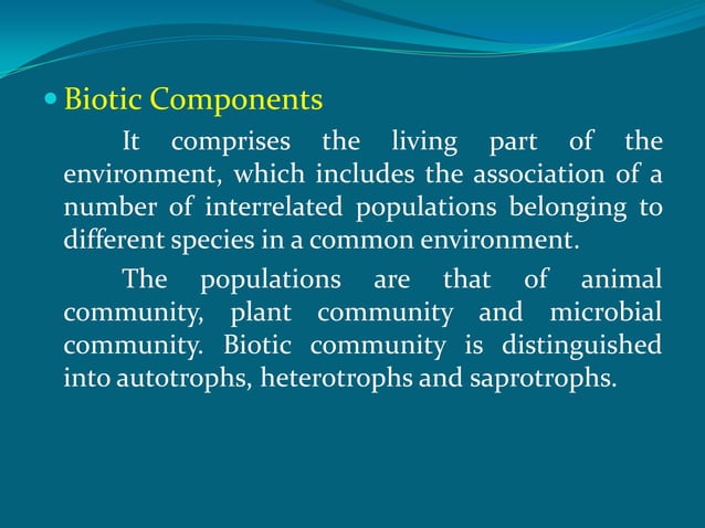 Components of ecosystem | PPTX | Geology | Science